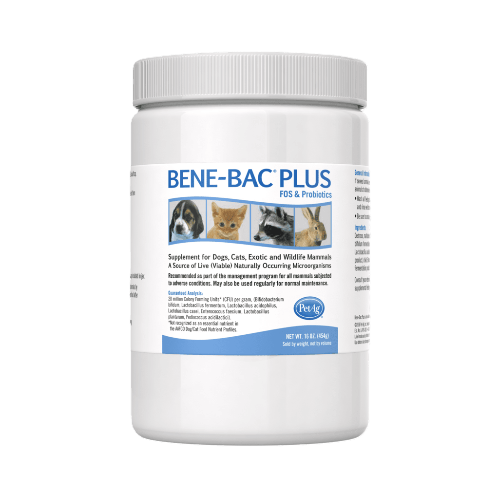 bene bac instructions