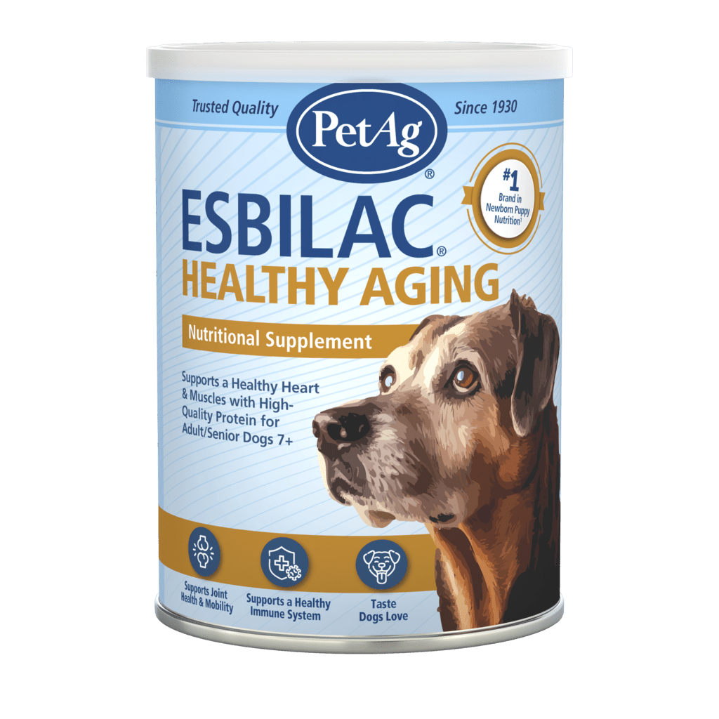 senior dogs supplements