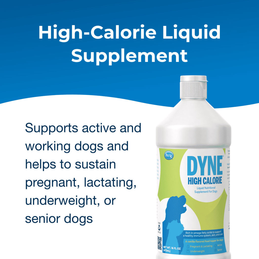 Dyne® High Calorie Liquid Nutritional Supplement For Dogs | PetAg